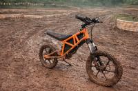 China Ready-to-Ride Kids Off-Road Electric Dirt Bike | High-Performance All-Terrain E-Bike for Outdoor Adventures for sale