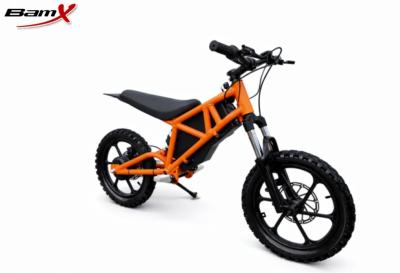 China Ready-to-Ride Kids Off-Road Electric Dirt Bike | High-Performance All-Terrain E-Bike for Outdoor Adventures for sale