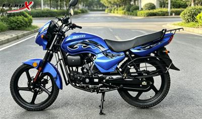 China Hero 110CC Horizontal Engine Street Motorcycle 3-Bones Alloy  PZ17 Carburter for sale