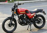 China 4 Stroke Street Sport Motorcycles Single Cylinder , 200cc Retro Dual Sport Motorcycles Anti Skid Tires for sale