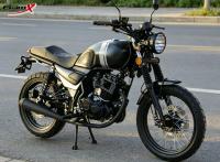 China 4 Stroke Street Sport Motorcycles Single Cylinder , 200cc Retro Dual Sport Motorcycles Anti Skid Tires for sale