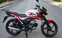 China 110cc Sport Matte Black Street Bike 12L Fuel Tank With Big Footrest Front Bumper for sale