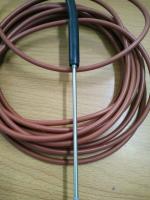 China Diameter 4mm SS304 Temperature Sensor PT 100 RTD for Temperature Sensor for sale