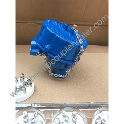 China Blue Explosion Proof Thermocouple Head Bp5e Ex-Proof for sale