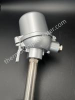 China High Temp Thermocouples with Ceramic Tubes and Heads in dual protective ceramic tube for sale