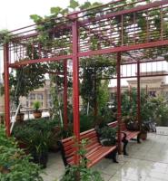 China Fibreglass Frame Wood Imitated Garden Grape Trellis For Rest Areas for sale