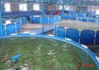 China Corrosion Resistance Fiberglass Fish Tank for sale