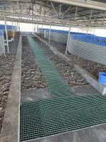China Fish Farm FRP Grating Walkway or Platform Can Be Customized For Size And Color for sale