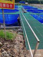 China Fish Farm FRP Grating Walkway or Platform Can Be Customized For Size And Color for sale