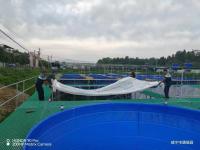 China Fish Farm FRP Grating Walkway or Platform Can Be Customized For Size And Color for sale