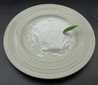 China Anti Dumping Exemption From EU Melamine Powder For Particle Board for sale