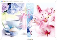 China 889X1194mm Melamine Decal Paper Transfer Paper 40GSM 45GSM for sale