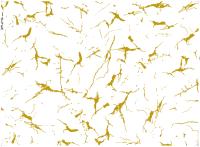 China Winner Transfer Gold And Silver Smart Transfer Paper Laser Uncoated Water Transfer Printing Decal For Wood for sale