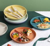 China Melamine Dinnerware Sets Durable and Dishwasher Safe for Various Foods for sale