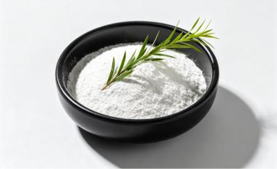 China High-Performance Melamine Glazing Powder: Ultra High-Gloss, Heat Resistant & Scratch-Proof Coating for Fine Melamine Dinnerware; 100% Food-Safe FDA & EU Standards Compliant for Durable Hotel Tableware for sale