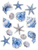 China High Temperature Resistant Sea Shell Design Food-Contact Safe Melamine Decal Paper for Factory Production for sale