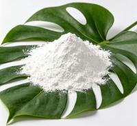 China Low Water Absorption Thermosetting Melamine Powder with Stable Molding Performance and Good Oil Resistance for sale