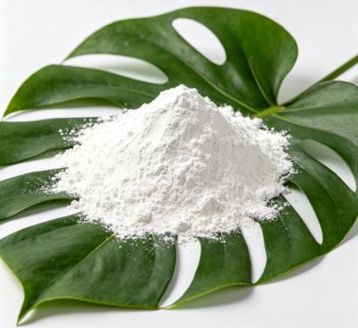 China Low Water Absorption Thermosetting Melamine Powder with Stable Molding Performance and Good Oil Resistance for sale