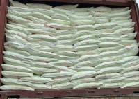 China CAS 9011-05-6 A1 Urea Formladehyde Melamine Powder for sale