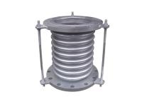 China Industrial Compensator for Pressure Regulation - 0-1000 PSI Range with 1/2