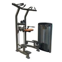 China Commercial Gym Dip/Chin Assist Fitness Exercise Machines for sale