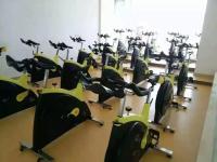 China Life Fitness Commercial Spin Bikes Gym Machine Transmitting Type Imported Belt for sale