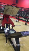 China 185kg Seated Plate Loaded Gym Machines Cybex Leg Press for sale