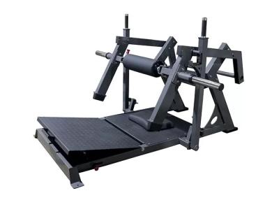 China 300kg Hammer Strength Gym Equipment , Silver Black Plate Loaded Machine for sale