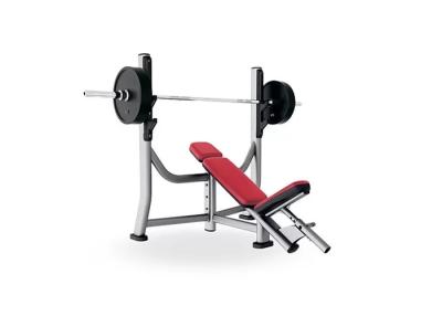 China Sports Exercise Gym Rack Incline Foldable Weight Bench Press Fitness Equipment for sale
