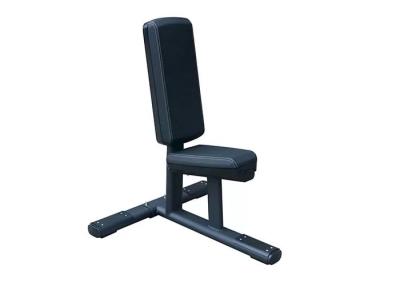 China Indoor Commercial Gym Power Rack Fitness Gear Pro Utility Weight Bench for sale