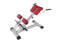 China Pro Commercial Gym Rack Exercise Equipment Back Extension Bench for sale