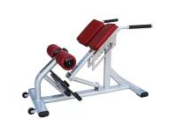 China Pro Commercial Gym Rack Exercise Equipment Back Extension Bench for sale