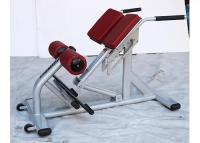 China Pro Commercial Gym Rack Exercise Equipment Back Extension Bench for sale