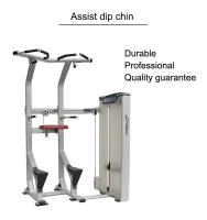 China Assisted Dip Chin Strength Training Machine , Professional Matrix Bodybuilding Equipment for sale
