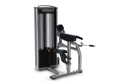 China Gym Matrix Strength Training Equipment Biceps Curl Machine for sale