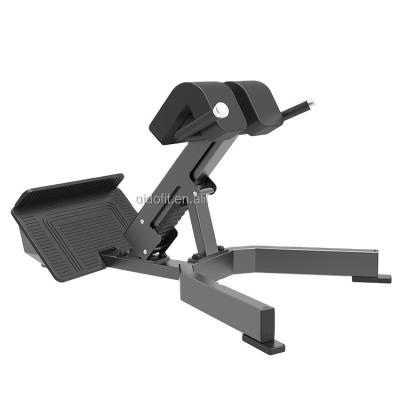China Professional Gym Club Workout Equipment Hyper Bench Vertical Bench Top Quality Cheap Roman Chair for sale