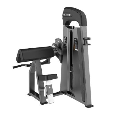 China Gym Workout Seated Bicep Machine For Body Building Strength for sale