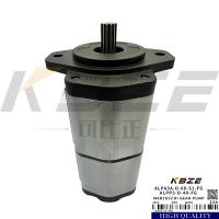China MARZOCCHI ALPA3A-D-60-S1-FG + ALPP3-D-40-FG DOUBLE GEAR PUMP 3335020003 for sale