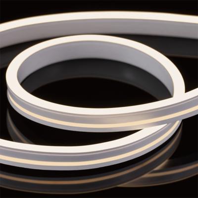 China IP67 IP68 Silicone Flexible LED Strip Light AC220V DC24V 9W 5W for Swimming Pool for sale