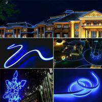 China IP67 IP68 Silicone Flexible LED Strip Light AC220V DC24V 9W 5W for Swimming Pool for sale