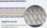 China Energy Saving LED Floodlight 200W Outdoor Waterproof IP65 Tunnel Light for sale