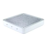 China LED Explosion Proof Gas Station Ceiling Light 100W IP65 Emergency Lighting 20000lm for sale