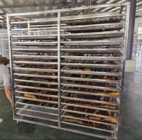 China Stainless Steel Drying Rack Trolley Bakery Tray Trolley Hygienic Design for sale