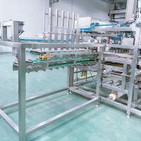 China 1500 B/h Capacity Automatic Bean Curd Cutting and Casing Machine for Tofu Production for sale