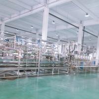 China Commercial Tofu Making Machine And Lucky Bag Production Line For Restaurants for sale