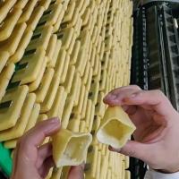 China Commercial Tofu Making Machine And Lucky Bag Production Line For Restaurants for sale