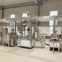 China Tofu Production With This Tofu Making Machine Final Products Tofu for sale