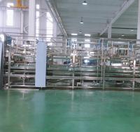 China High Productivity LUOKE European CE Full Automatic Tofu Machine No Mould No Cloth for sale