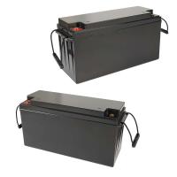 China OEM 2.56kWh Lithium EV Battery Lifepo4 Lithium Ion Battery 200ah 12.8V for sale