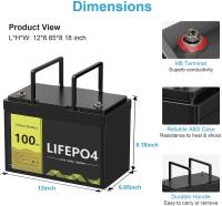 China Stable LiFePO4 Lead Acid Replacement 100Ah 12.8V Lithium Ion Battery for sale